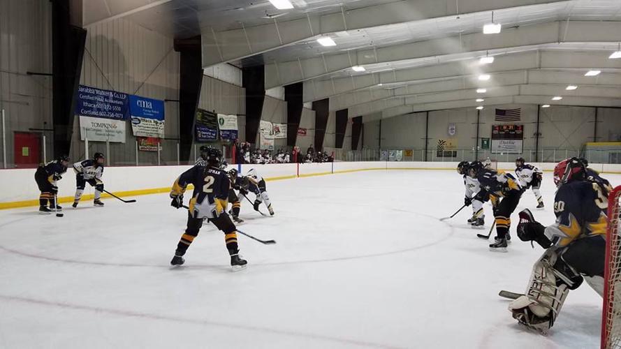 Stars continue 'shining light' with NYSAHA sectional tournament ...