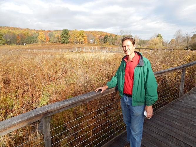 Deer Control: DEC Plan Is Not Reducing Numbers Yet | News | ithaca.com