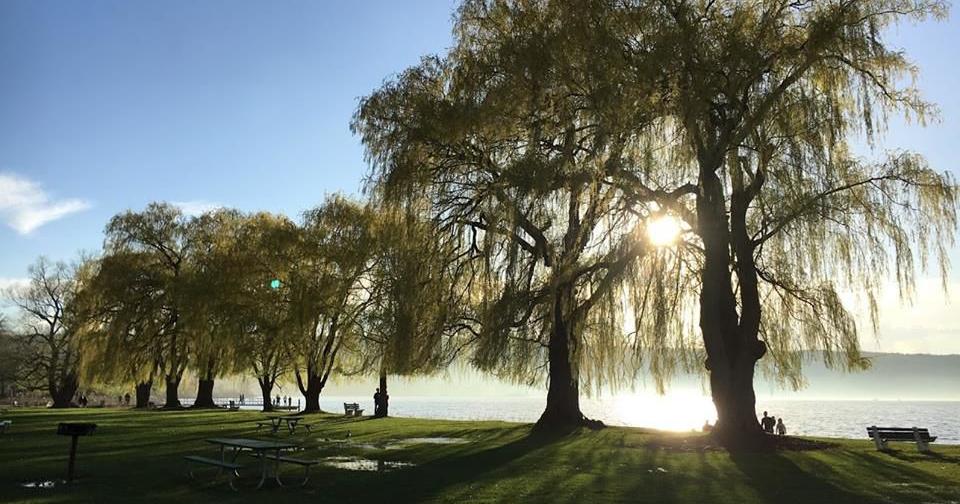 Stewart Park, Newman Golf Course & Cayuga Waterfront Trail Closed ...