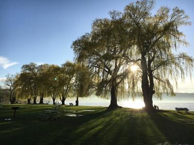 Stewart Park remains closed due to additional storm damage | Ithaca ...