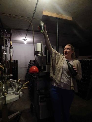 An Easy Wine Education | News | ithaca.com