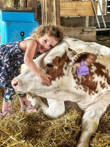Ithaca is Animals: Where Residents and Visitors Can Enjoy Time with ...
