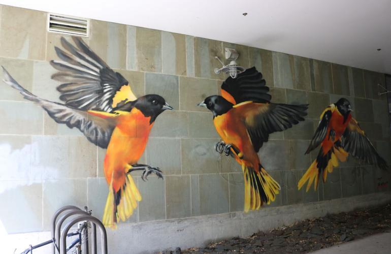 The City of Murals | Fall Guide | ithaca.com