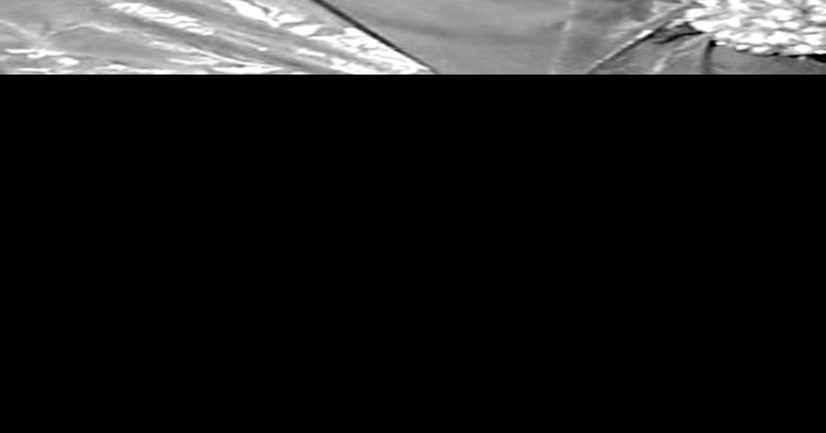 Beatrice (nee Doane) Terry Greenwalt | Obituaries | ithaca.com