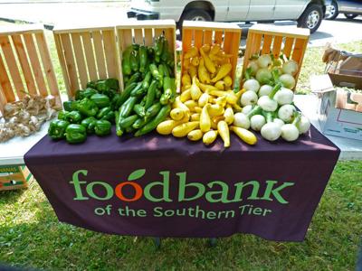 Food Bank of the Southern Tier to Host MLK Day of Service | Regional ...