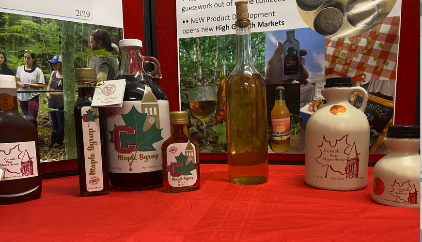 Cornell debuts new maple product lab in Arnot Forest | Spencer/Van ...