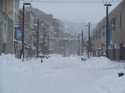 Prepare for “Arctic Plunge” | Ithaca | ithaca.com