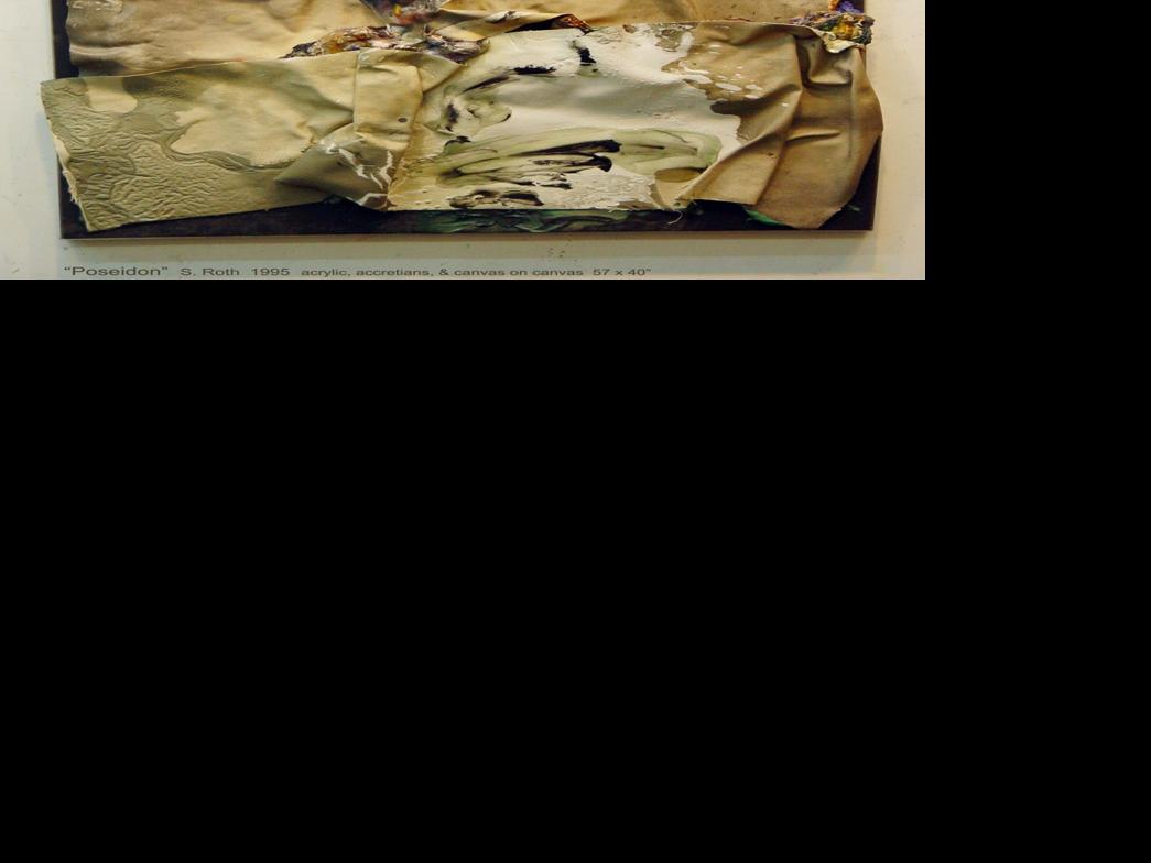 Susan Roth at Everson in Syracuse | Entertainment | ithaca.com