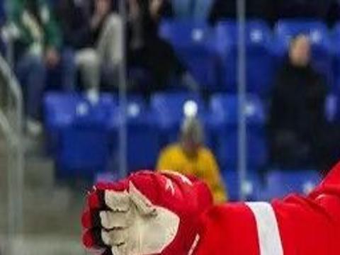 cornell hockey nhl players