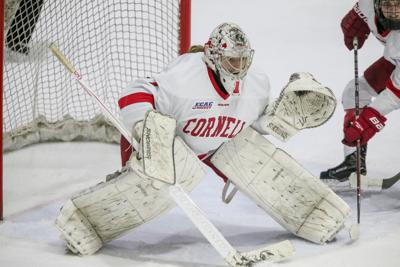 Cornell’s Golden Age | Steve Lawrence | ithaca.com
