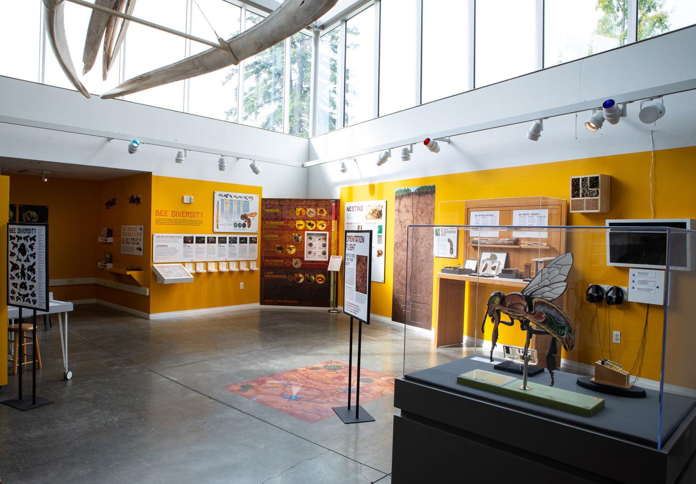 The Museum of Earth reopening Aug. 8 | Entertainment | ithaca.com