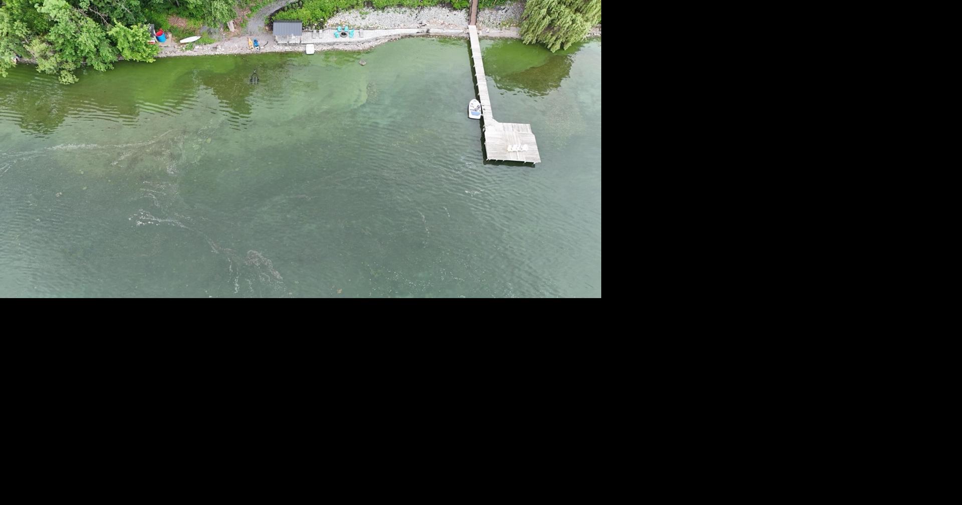Update: Cayuga Lake Believed to be Experiencing Lake-Wide Algal Bloom | Tompkins County | ithaca.com