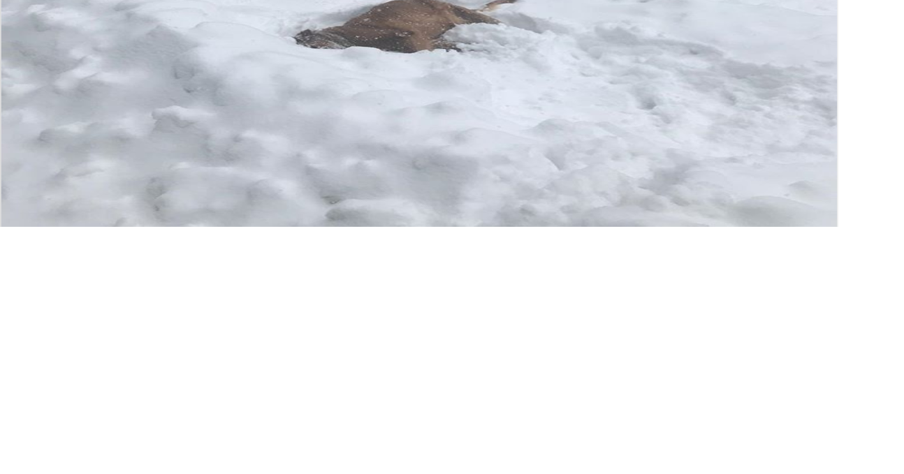 Winter Storm Diaz Heading to Tompkins County | Ithaca | ithaca.com