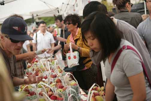Sink Your Teeth Into This: Ithaca's 32nd Annual Apple Harvest Festival | Apple Harvest Festival ...