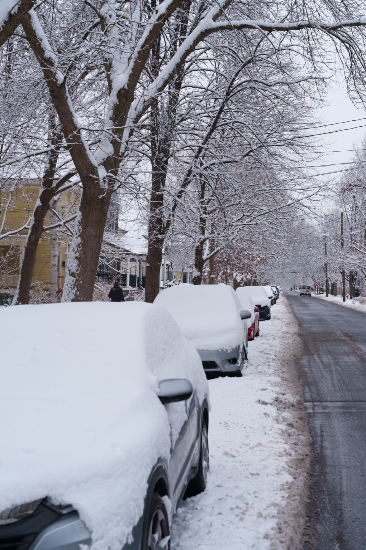 Guest Opinion: The Snow is Sticking Again. Good Luck. | Guest Opinions ...