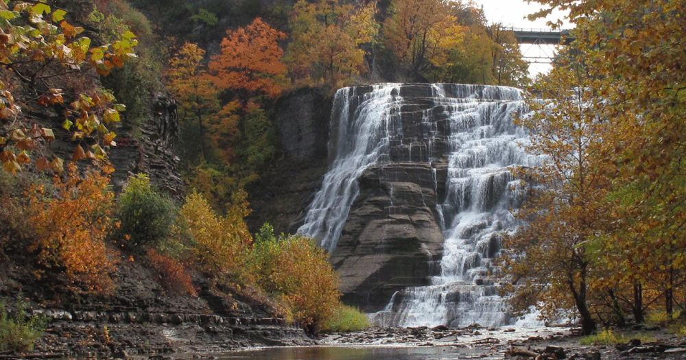 Peep These Leaves | Fall Guide | ithaca.com