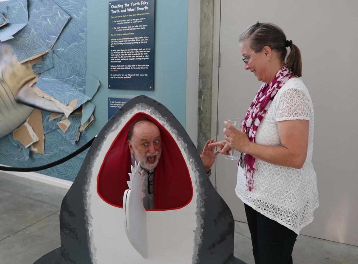 Fish Freaks: Museum of the Earth’s shark exhibit | Art | ithaca.com