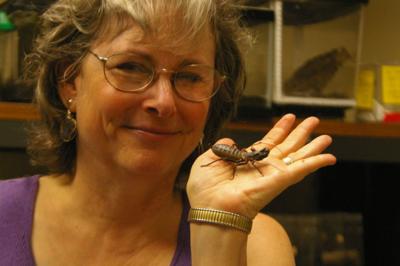 Some Love Spiders | News | ithaca.com