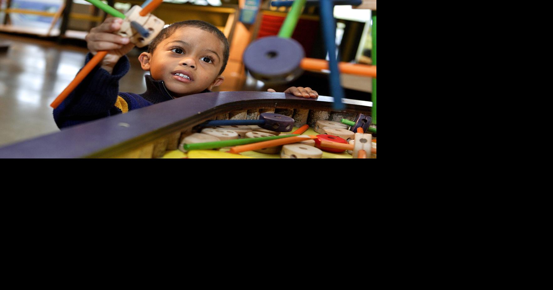 New TreeHouses Exhibit Opening At Sciencenter | Ithaca | ithaca.com