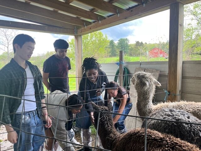 Ithaca is Animals: Where Residents and Visitors Can Enjoy Time with ...