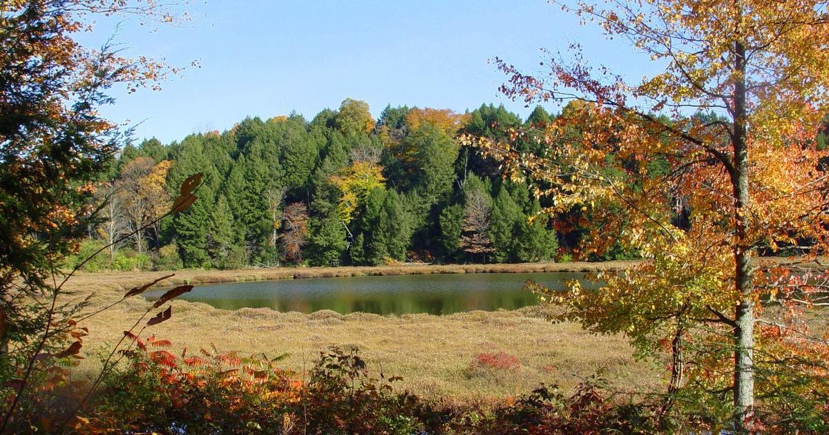 Lime Hollow Nature Center: Cortland’s natural habitat for all | News ...