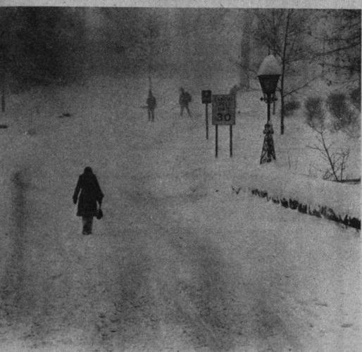 Where does 'Stella' rank among Ithaca's worst blizzards? | Ithaca ...