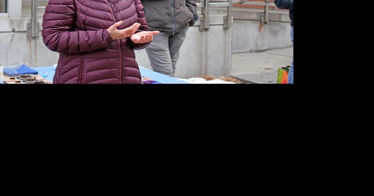 Laura Lewis officially launches campaign for mayor | Ithaca | ithaca.com