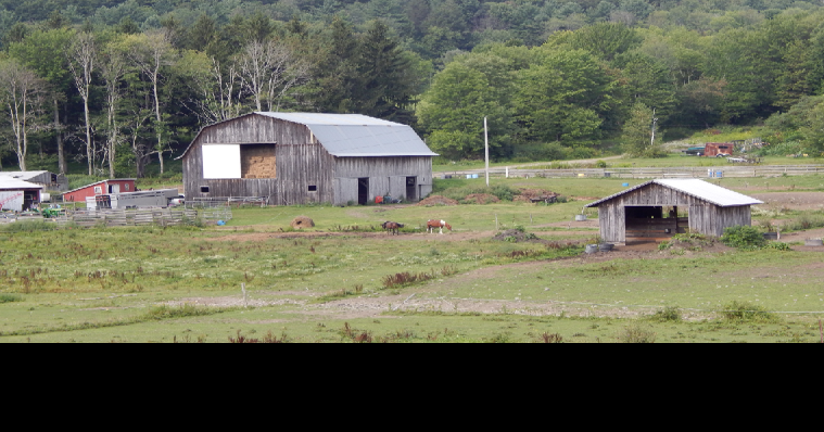Upstate Barns as Iconic Structures | Fall Guide | ithaca.com