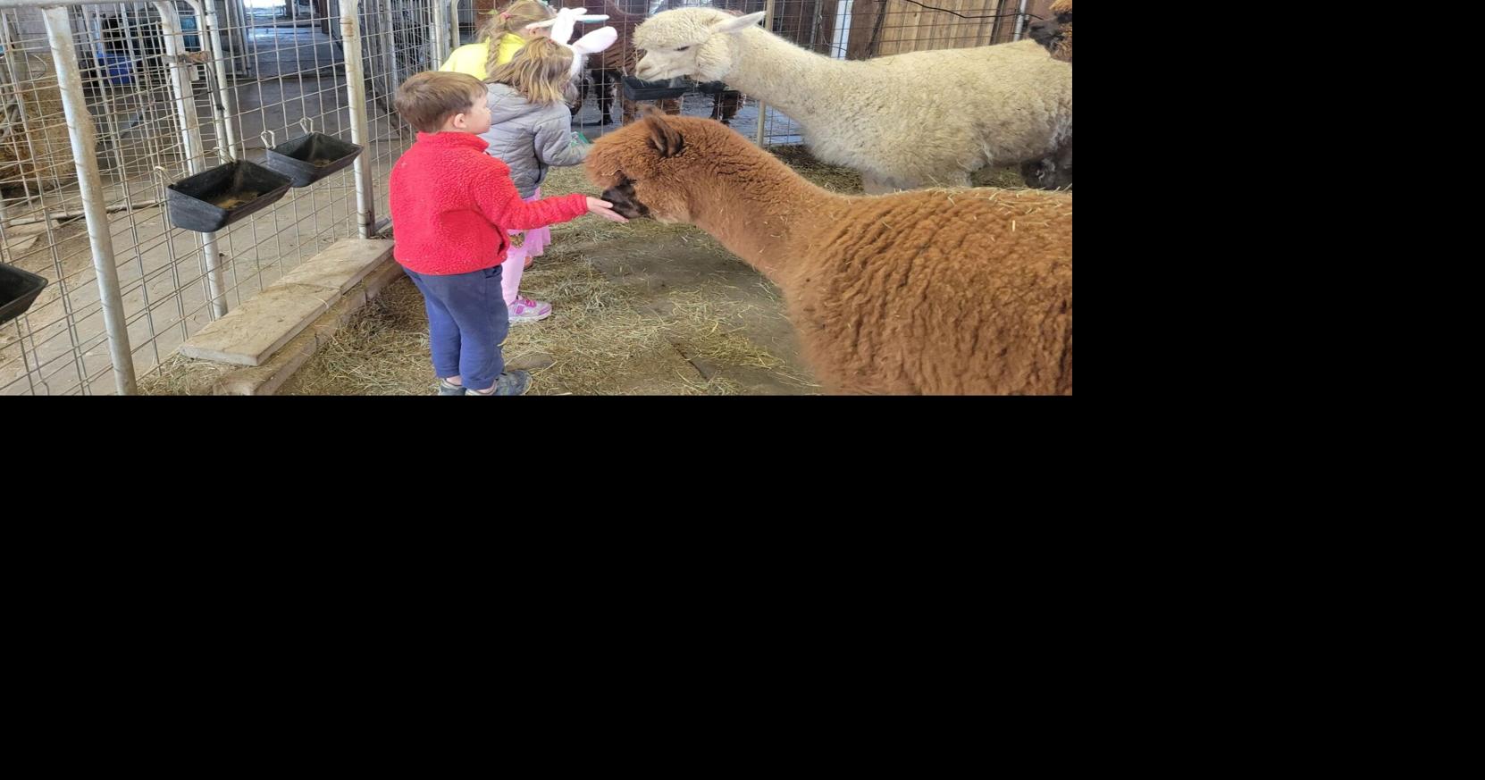 Ithaca is Animals: Where Residents and Visitors Can Enjoy Time with ...