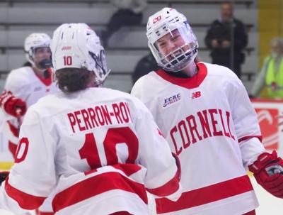 No Place Like Home: Cornell Scores Weekend Home Wins in Wrestling, Men ...
