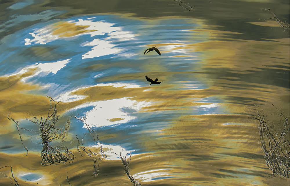 Marie Read showcases oneness with new show | Art | ithaca.com