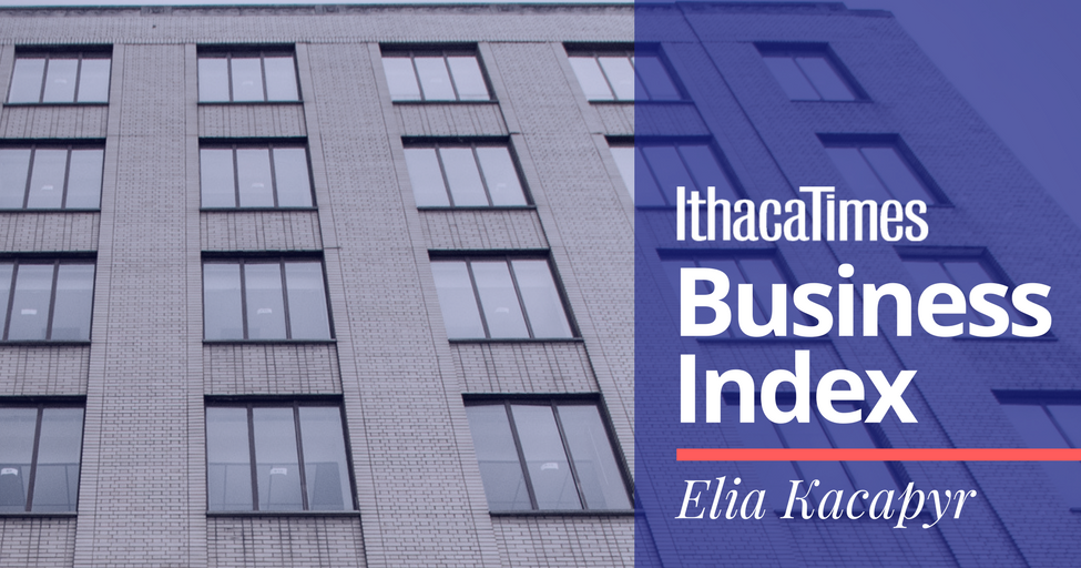 Ithaca Business Index: Little diversity, interesting economics ...