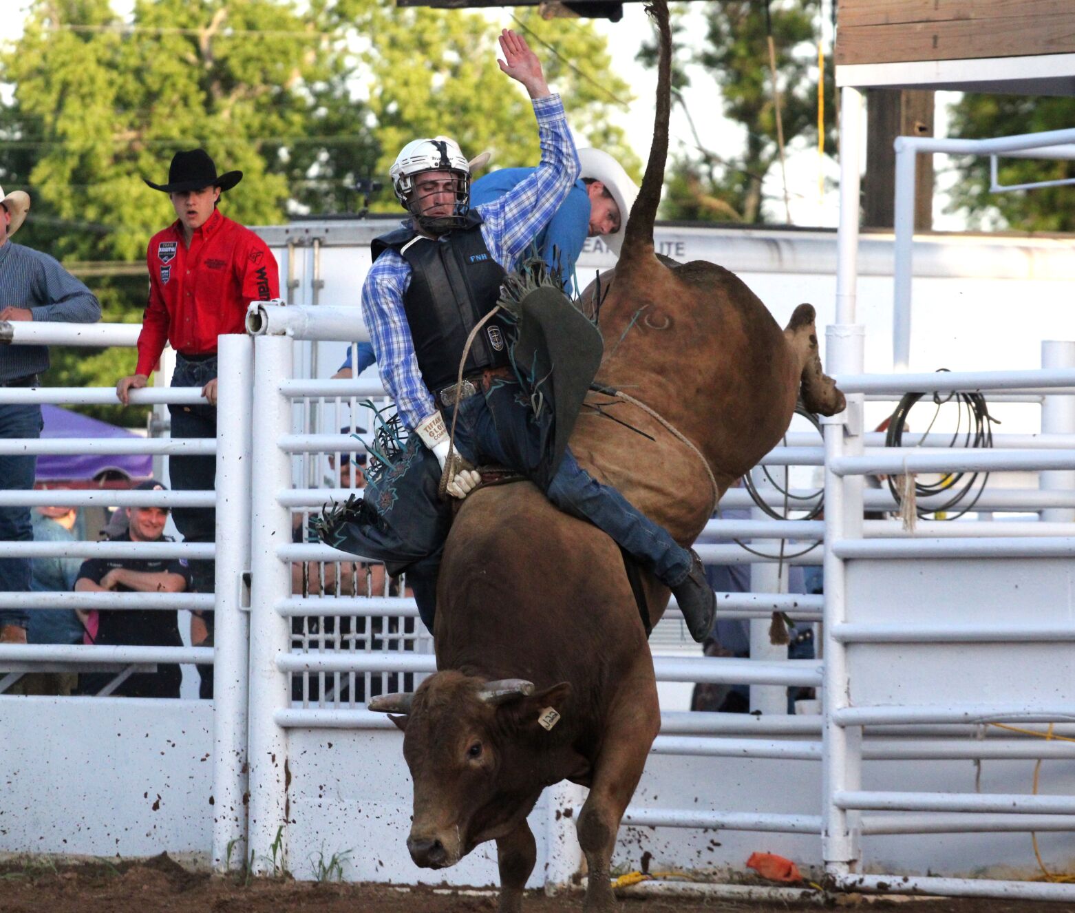 jacksonvilleprogress.com