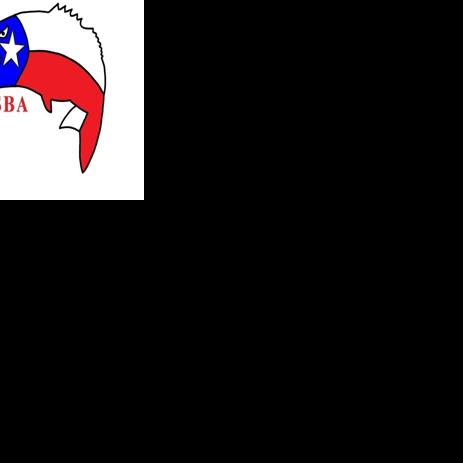 Bass fishing teams from Bullard, Troup and Rusk excel in recent tourney ...