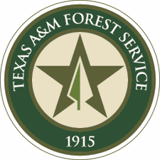 Texas A&M Forest Service launches Wood Flow South website | News ...