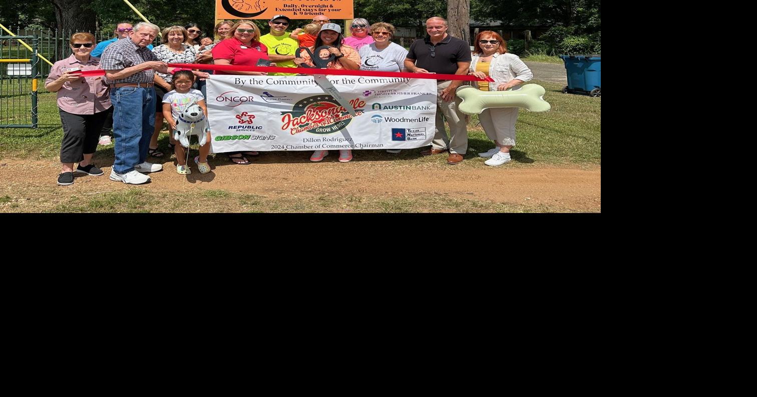 Neon Moon Boarding joins Jacksonville Chamber | Local News ...