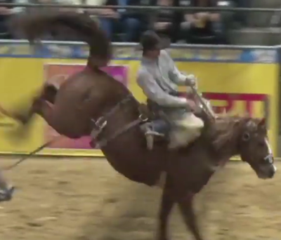 Alto's Logan Cook wins saddle bronc competition at Waller Rodeo ...