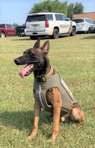 K9 Odin of the Cherokee County Sheriff’s Office receives vest | News ...