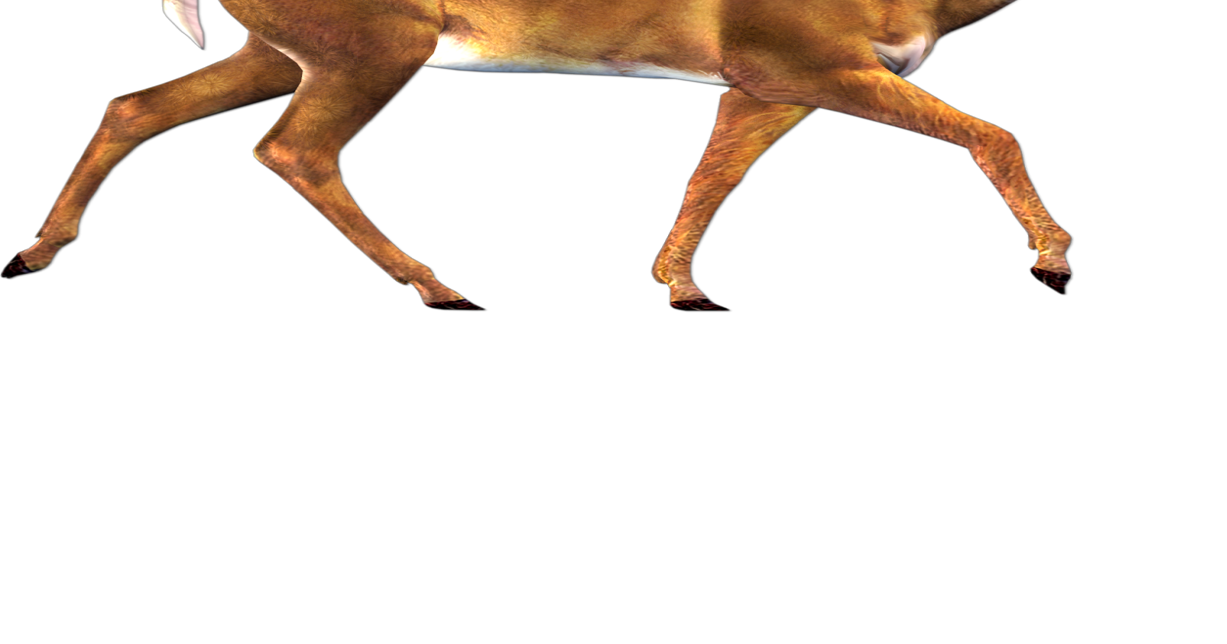 Texas hunting, fishing licenses go on sale today | Sports ...