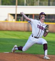 Colby Turner pitches Tigers to 1-0 win over Tatum | Sports ...
