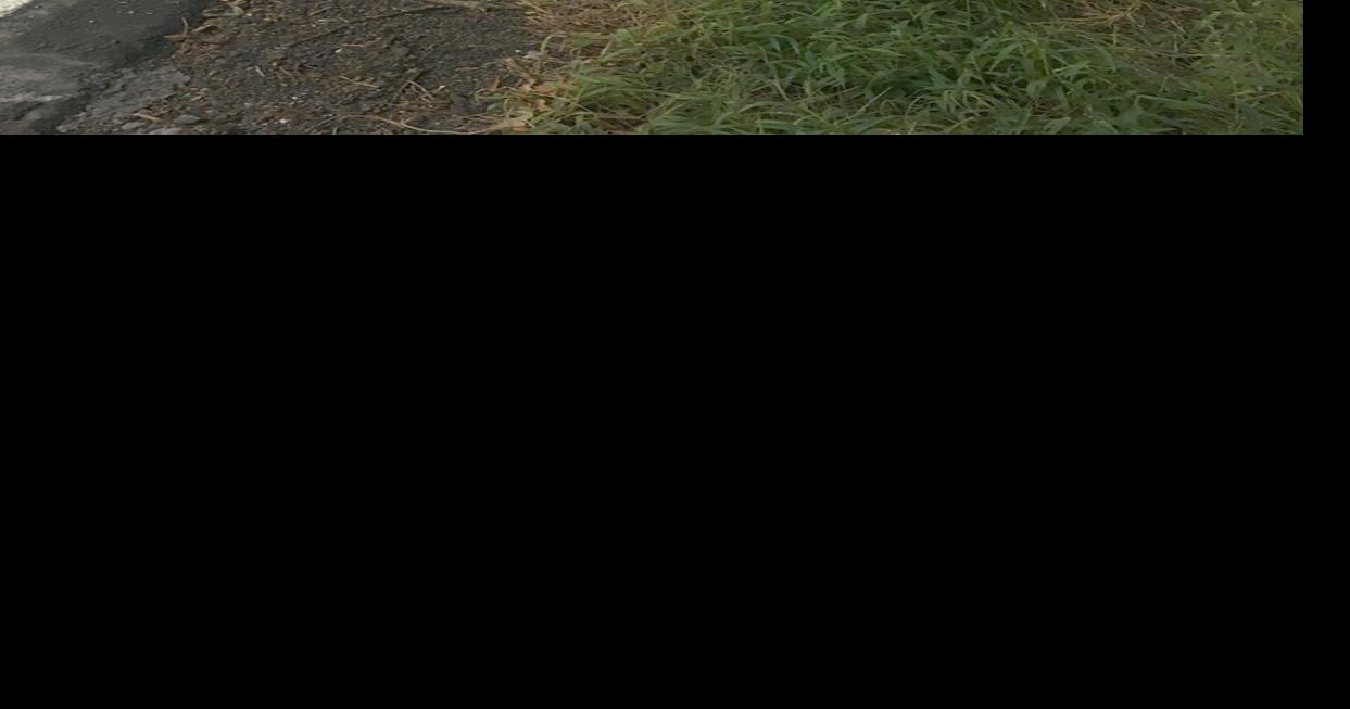 JFD: Car fire quickly under control | News | jacksonvilleprogress.com