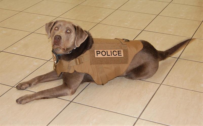 Troup orders demolition of two properties | Local News | jacksonvilleprogress.com