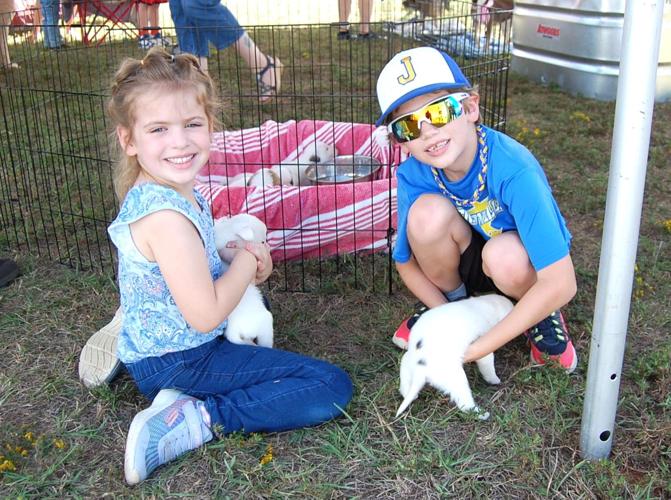 Homes Fur Pets secures homes for eight shelter animals | Local News ...