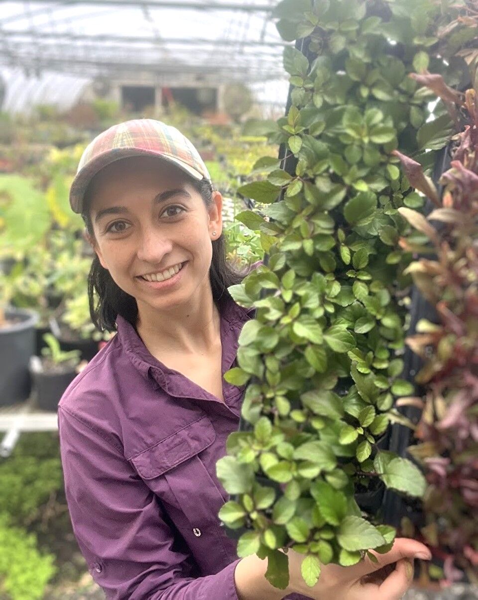 SFA Gardens lecture to feature plants available at spring plant sale ...