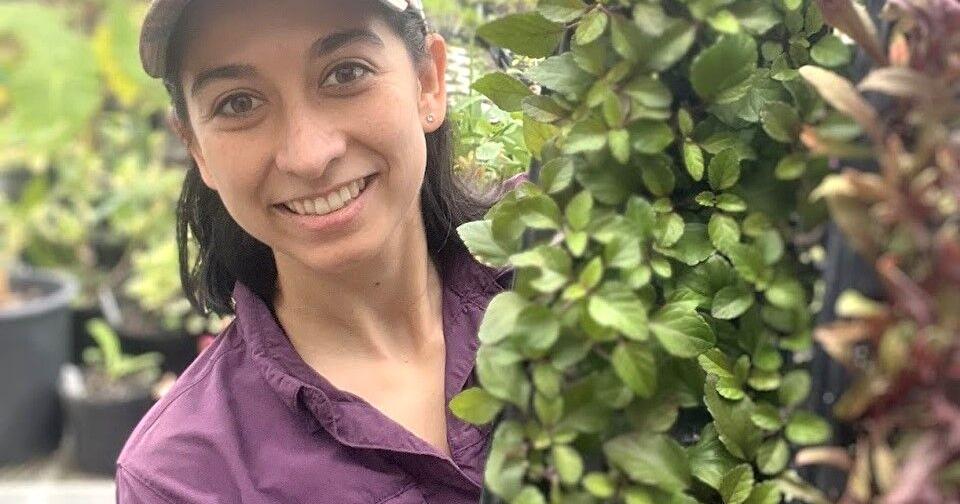 SFA Gardens lecture to feature plants available at spring plant sale ...