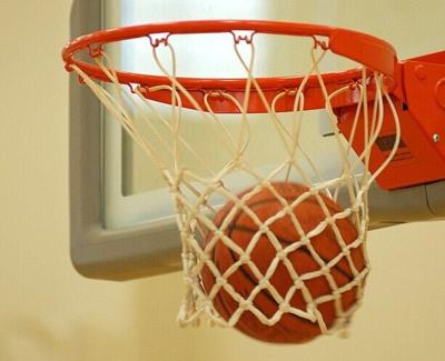 Basketball: Wells to take on Hull-Daisetta in playoff opener | Sports ...