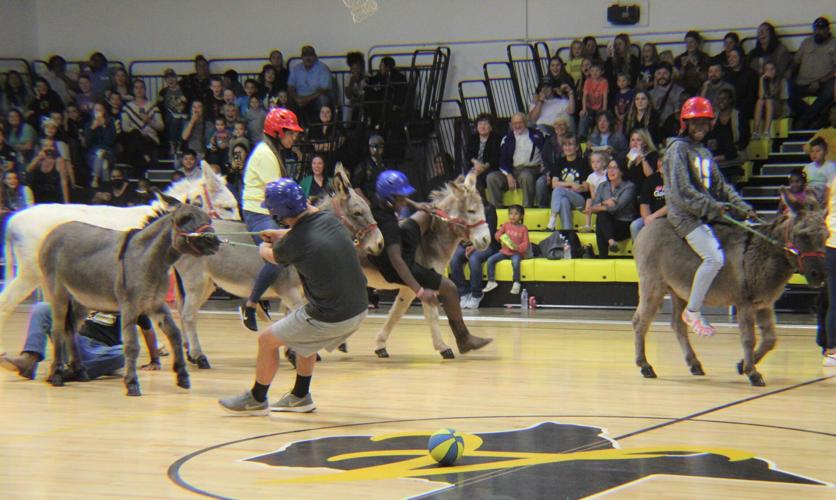 Kiss the donkey: Donkey basketball tournament entertains and raises ...