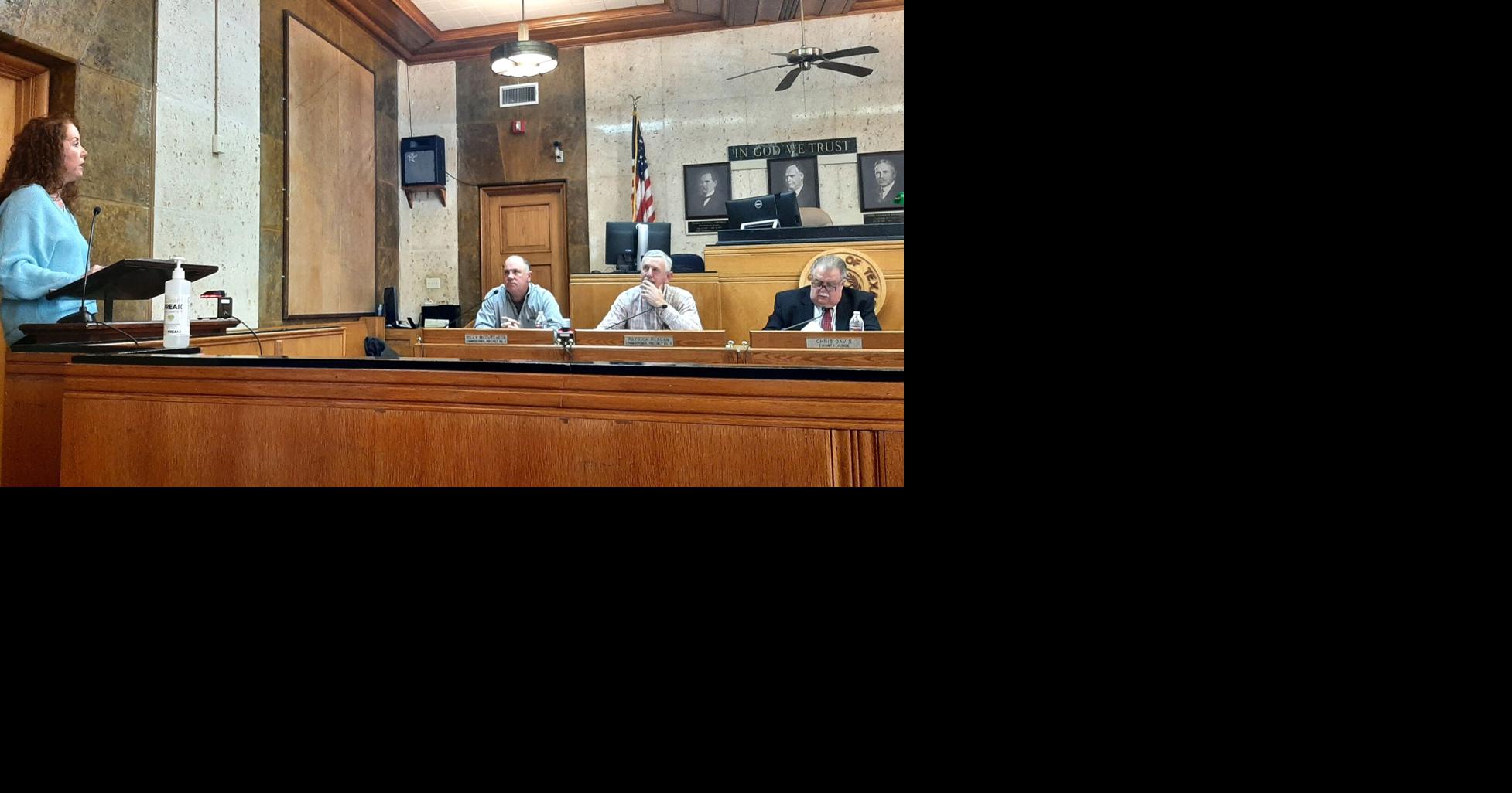 Commissioners authorize online tax foreclosure sales | Local News ...