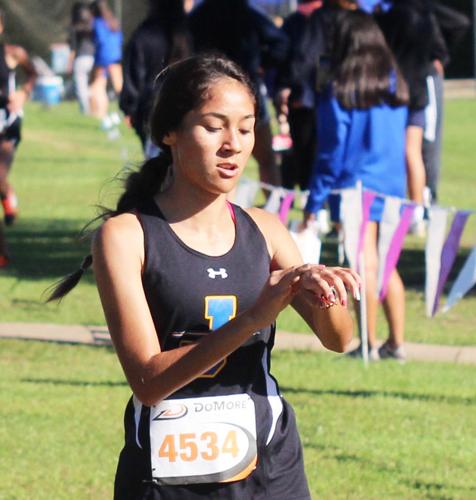 11 men, 4 women to run for JC cross country | Sports ...