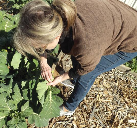 Dishing up hearty helpings of love, kindness and good eats | Community ...